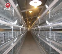 China Poultry Battery Layer Chicken Cage Hopper Feeding for sale
