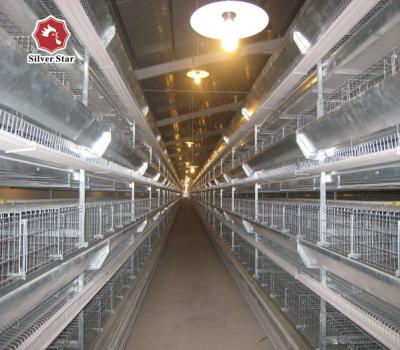China 50000 Layers Farm Poultry Chicken Cage Equipment for sale