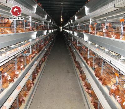 China Poultry Battery Layer Chicken Cage Hopper Feeding for sale
