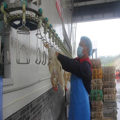 China 300-500BPH Automatic Poultry Processing Equipment with 800KG Weight and 100V-380V Voltage Range for sale