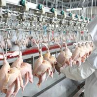 China 300-500BPH Automatic Poultry Processing Equipment with 800KG Weight and 100V-380V Voltage Range for sale