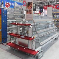 China A Type Bigger Size Chicken Egg Layer Cages New Design for sale