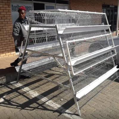 China Hot Galvanized A Type Poultry Cage New Design Big Size for sale