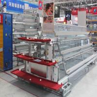China A Type 4 Tier Layer Poultry Cage 160 Birds Full Automatic System Galvanized Steel for sale