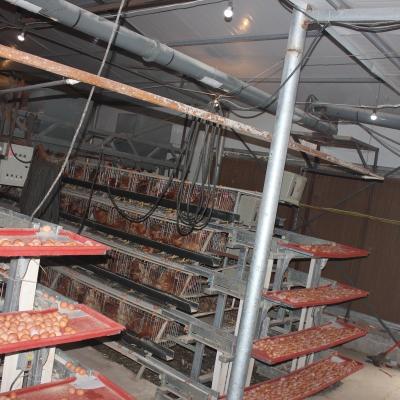 China 4 Tiers Poultry Farm Egg Layer Battery Chicken Cage With Automatic Nipple Drinker for sale