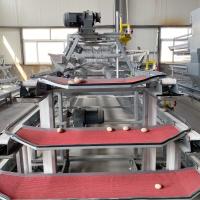 China Affordable Automatic A-Type Layer Battery Cage System for Medium & Large Poultry Farms for sale
