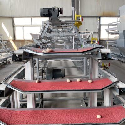 China A Type Layer Chicken Cage 195x38x38cm Poultry Farm Hens Feeding Equipment for sale
