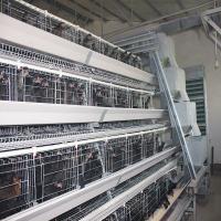 China A Type Battery Layer Chicken Cage For Poultry 5 Door 195*41*41cm for sale