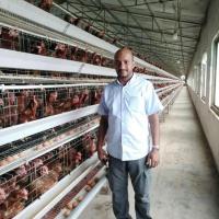 China A Type Layer Chicken Cage 3 Tier 120 Birds Capacity Galvanized Poultry Equipment for sale