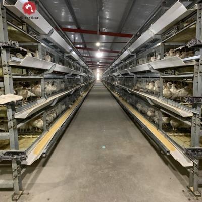 China A Type Layer Chicken Cage 3 Tier 120 Birds Capacity Galvanized Poultry Equipment for sale