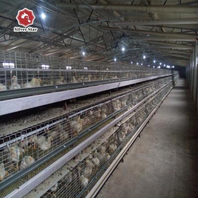 China Silver Star Breeding Baby Chick Cage H Type Customized Chicken Coop for sale