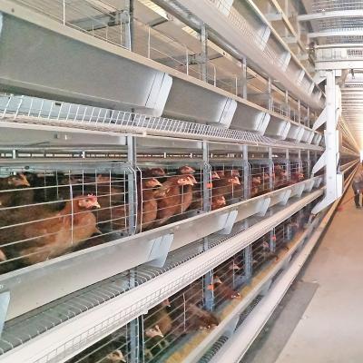China H Type Egg Layer Battery Chicken Cages 8 Tiers Galvanized Steel Wire for sale