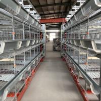 China H Type Layer Chicken Cage Q235A Automatic 4 tiers Galvanized Wire for sale
