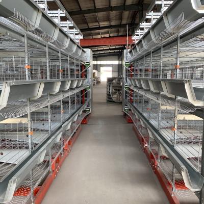 China H Type Layer Chicken Cage Q235A Automatic 4 tiers Galvanized Wire for sale