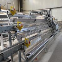 China A Type Battery Chicken Cage For Poultry 5Tiers Q235A  Automatic for sale