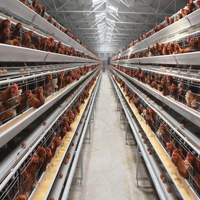 China H Type Layer Battery Cage 3-6 Tiers 54-108 Chickens Q235 Galvanized Steel Poultry Equipment for sale