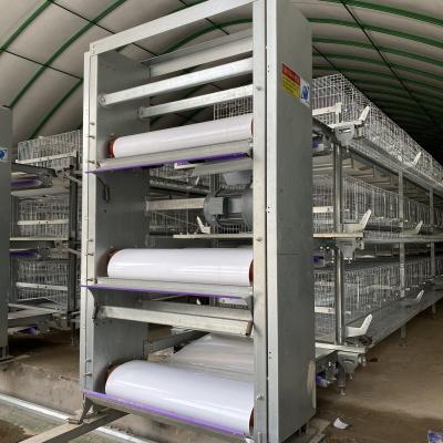 China Automatic Poultry Farm Egg Layer Chicken Cage System 65 X 62.5 X 44 CM for sale