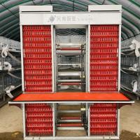 China H Type Automatic Layer Chicken Cage Egg Poultry Farming Equipment for sale