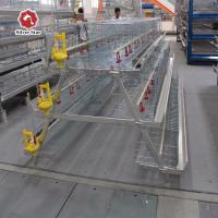 China Broiler Pullet Breeder Chicken Cage Galvanized Mesh A Type Layer Egg Hens for sale