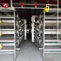 China Fully Automatic Battery Broiler Chicken Cage Poultry Farming H Type for sale