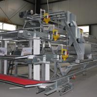 China Automatic Egg Chicken Layer Battery Cage Poultry Farming System A Type for sale