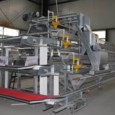 China Cheap Price A Type Chicken Laying Egg Cages for sale