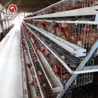 China 43*41Cm Full Automatic Battery Chicken Cage System U Type Galvanized Silver Color for sale