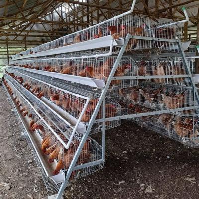 China A Type 4 Tier 160 Birds Egg Layer Chicken Cage Hot Dipped Galvanized for South Africa Poultry Farm for sale