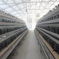 China A Type 3 Tier 90-160 Birds Battery Layer Chicken Cage Hot Galvanized Poultry Farm Equipment for sale