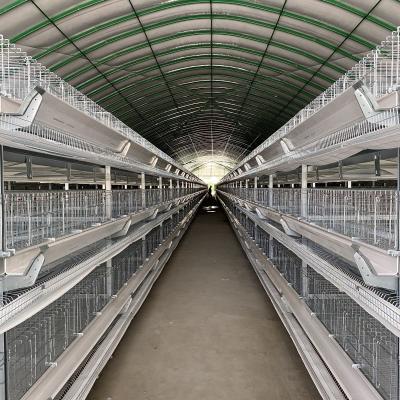 China Hot Dip Galvanized Steel Fully Automatic Vertical H Type Multitier Chicken Egg Laying Cage for sale