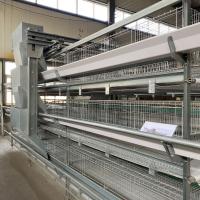 China Hot Dip Galvanized Steel Fully Automatic Vertical H Type Multitier Chicken Egg Laying Cage for sale