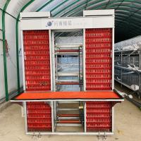 China Hot Dip Galvanized Steel Fully Automatic Vertical H Type Multitier Chicken Egg Laying Cage for sale