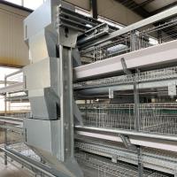 China Resilient medium-sized broiler cages ensure efficient management of small chicks. for sale