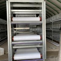 China Egg Chicken Poultry Farm 3 Tiers 4 Tiers H Type Automatic Battery System Chicken Layer Cage for sale