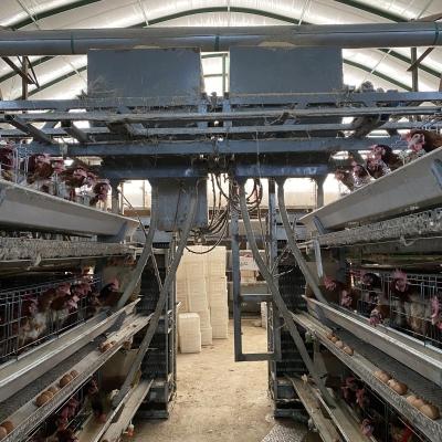 China Poultry H Type 3 Tier 4 Tiers Laying Hens Layer Egg Chicken Cage for sale
