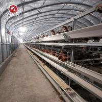China 3 Tiers Layer Chicken Cage 120 Capacity A Type For Poultry Farm for sale