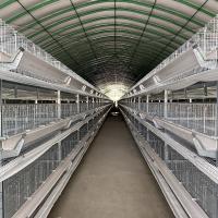 China H Type Fully Automatic Battery Chicken Cage System Egg Layer Poultry Farming Equipment for sale