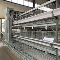 China H Type Automatic Layer Chicken Cage Egg Poultry Farming Equipment for sale