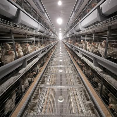 China Hot Dipped Galvanized Layer Chicken Battery Cage 3-8 Tiers 54-384 Birds Automatic Poultry Equipment for sale