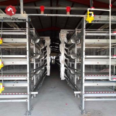 China 5000 Birds Broiler Poultry Cage Hot Dip Galvanized H Frame Battery Farm Chicken Cage 3-8 Tiers for sale