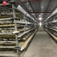 China Hot Galvanized H Type Chick Brooder Cage 5 Tiers 170 Birds for sale