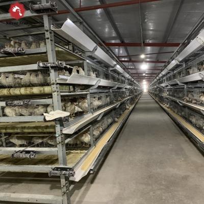 China Galvanized Steel H Type 10000 Birds Battery Broiler Poultry Chicken Cage 3 Tiers 100x100cm for sale