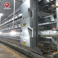 China H Type Complete Automatic Broiler Chicken Cage 4 Tiers for sale