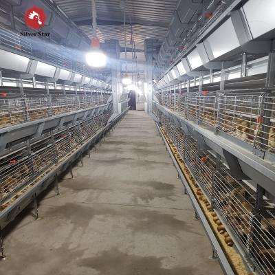 China Fully Automatic Broiler Poultry Farm Cage 5000 H Type Battery For Chicken for sale