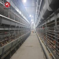 China H type Complete Automatic Broiler Chicken Cage 4 Tiers for sale