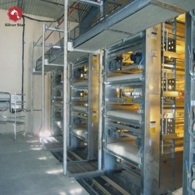 China H Frame 4 Tiers Meat Chicken Broiler Cage 136 Birds Per Set 85x220x325 cm for sale