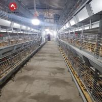 China H type Complete Automatic Broiler Chicken Cage 4 Tiers for sale