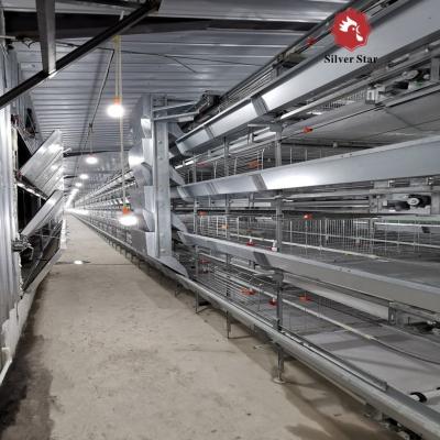 China Automatic Poultry Feeding Line Broiler Farming Equipment 100x100cm Cage 3 Tier for sale