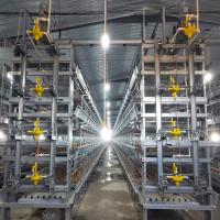 China H type Complete Automatic Broiler Chicken Cage 4 Tiers for sale