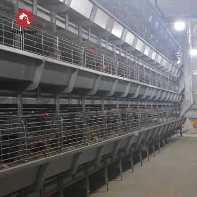 China H Type Farm Broiler Chicken Cage Poultry Battery 17 Chicks / Cell for sale